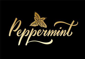 Peppermint Font Vector Images (over 120)