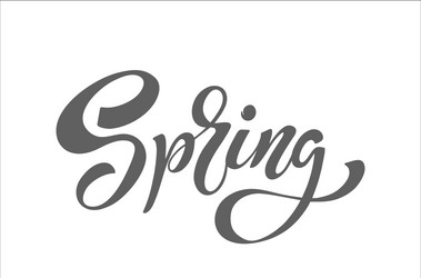 Inscription spring modern brush calligraphy Vector Image