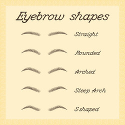 Various male eye shapes Royalty Free Vector Image