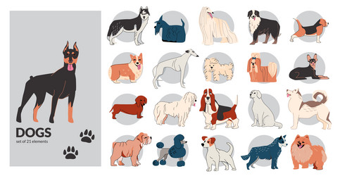 Dog Poses Vector Images (over 10,000)