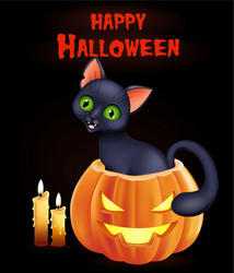 Cartoon black cat holding halloween pumpkin Vector Image