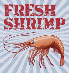 Shrimp Royalty Free Vector Image - VectorStock