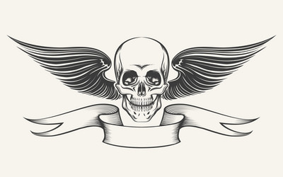 Skull winged emblem Royalty Free Vector Image - VectorStock