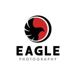 Eagle Drone Vector Images (61)