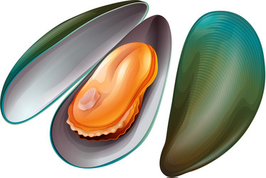Cartoon Mussels Vector Images (over 1,100)