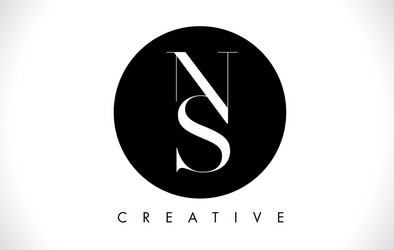 Ns artistic letter logo design with serif font Vector Image