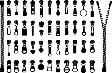 Set of different zippers Royalty Free Vector Image