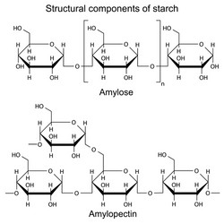 Starch Formula
