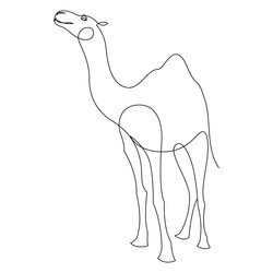 Continuous one line drawing camel walking Vector Image
