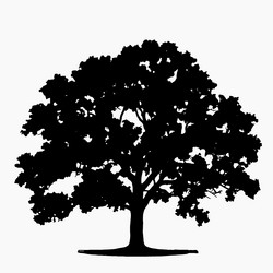 Decorative oak tree silhouette art Royalty Free Vector Image