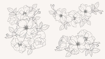 Tumblr Flowers Drawing Pattern