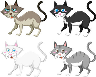 Four Cats Vector Images (over 980)