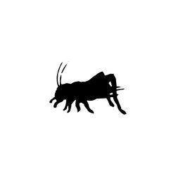 Cricket insect icon simple style insect science Vector Image