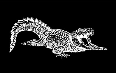 Gator Skull Vector Images (27)