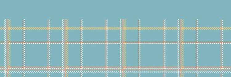 Gender neutral seamless plaid border Royalty Free Vector