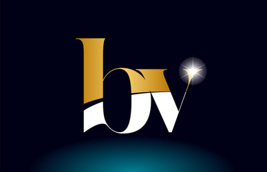 Gold golden alphabet letter bv b v logo Royalty Free Vector