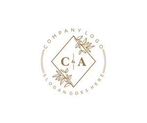 Initial ca letters beautiful floral feminine Vector Image