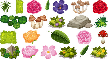 Set natural objects Royalty Free Vector Image - VectorStock