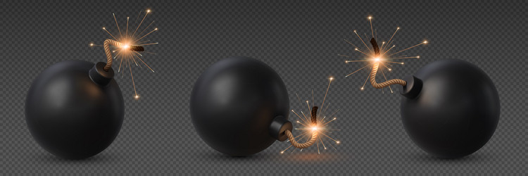 Realistic bomb with burning fuse isolated Vector Image