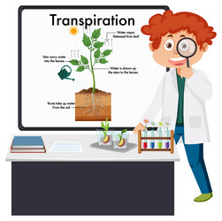 Transpiration Clipart