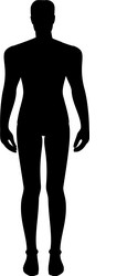 Male Body Vector Images (over 100,000)