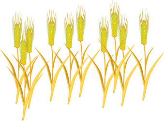 Barley Vector Images (over 33,000)