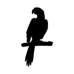 Couple of parrots on perch outline silhouette flat