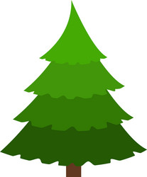 Christmas Tree Without Decoration Vector Images (81)
