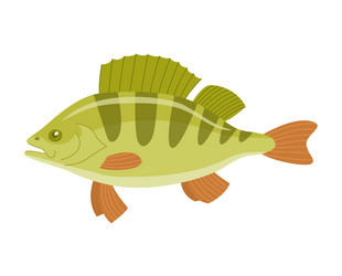 Panfish Vector Images (22)