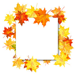 Autumn background with forest fall leaves october Vector Image