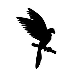 Flying parrot bird black contour silhouette flat Vector Image
