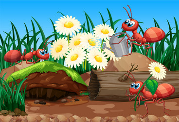 Scene with many bugs in garden Royalty Free Vector Image