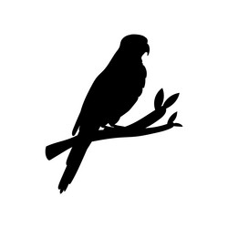 Black silhouette of a parrot on white background Vector Image