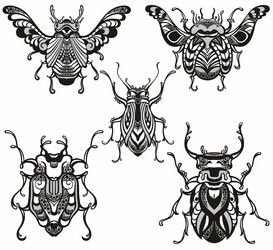 Beetles Royalty Free Vector Image - VectorStock