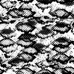 Python Print Vector Images (over 1,100)