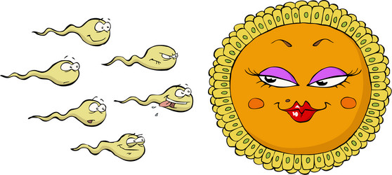Sperm Cartoon Vector Images Over 1 700