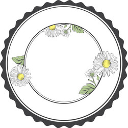 Daisy flower border Royalty Free Vector Image - VectorStock