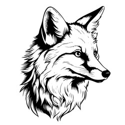 Angry fox graphic sketch black and white hand Vector Image