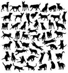 Pet silhouettes Royalty Free Vector Image - VectorStock