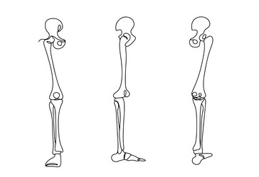 Human skeleton one line Royalty Free Vector Image