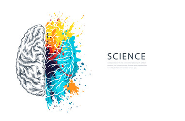 Brain with Color Splash Vector Images (over 230)