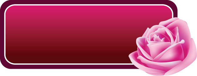 Pink rose Royalty Free Vector Image - VectorStock