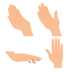 Hands realistic gestures human palms and fingers Vector Image