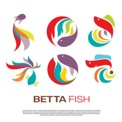 Betta fish fighting fish logo design template Vector Image