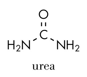 Urea Lewis Structure