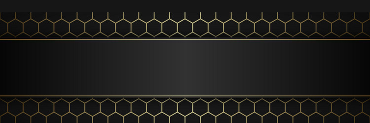 Geometric polygons background with free space Vector Image