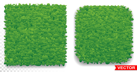 Green grass hexagon seamless pattern icon Vector Image