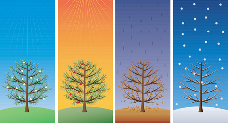 Four seasons landscape with trees Royalty Free Vector Image