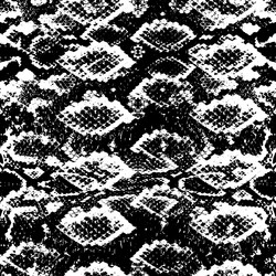 Snake skin scales texture seamless pattern white Vector Image