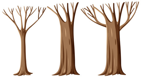 Isolated tree without leaves cartoon Royalty Free Vector